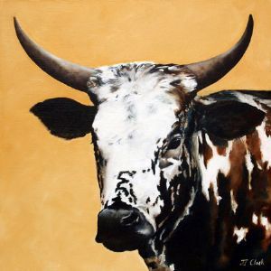 "Nguni Head - Manus"